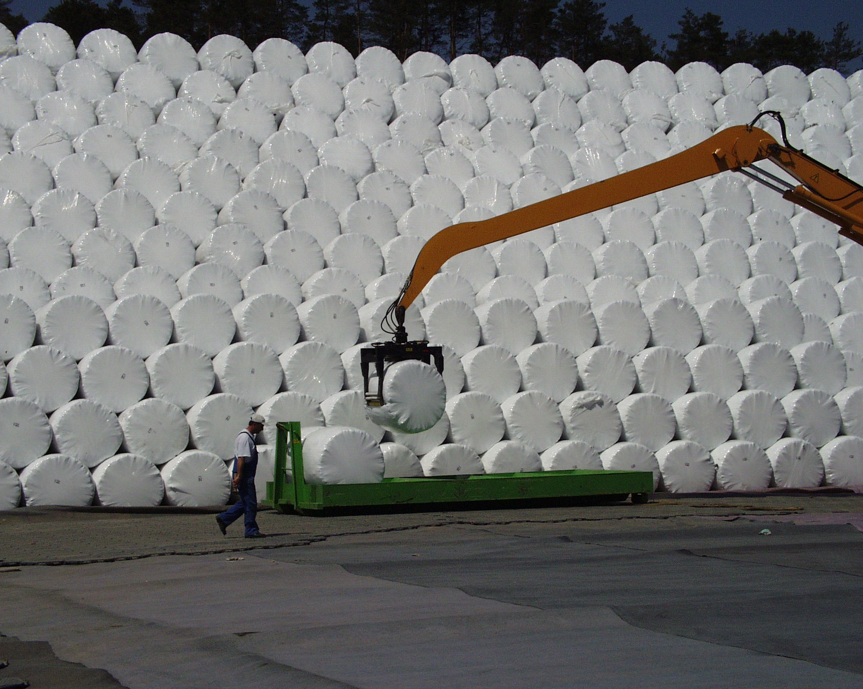 Flexus Balasystem - Gitmark